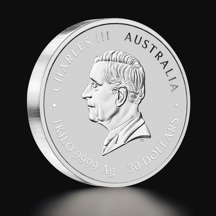 1 kg Australian Lunar Year of the Snake 2025 Silver Coin | Tavid - Kuld ...