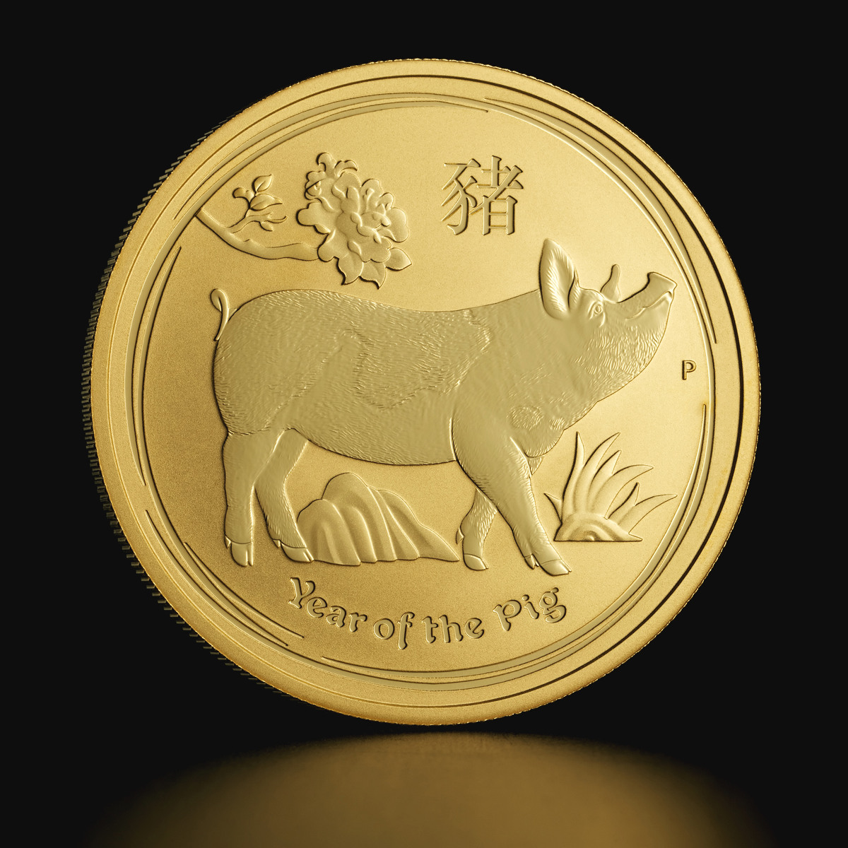 1 oz Australian Lunar Year of the Pig 2019 Gold Coin | Tavid - Kuld & Hõbe